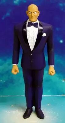 Saint Seiya - Mini-statue - Oko le Tigre